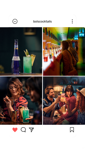 Bols Genever Original | Make Classic Genever Cocktails