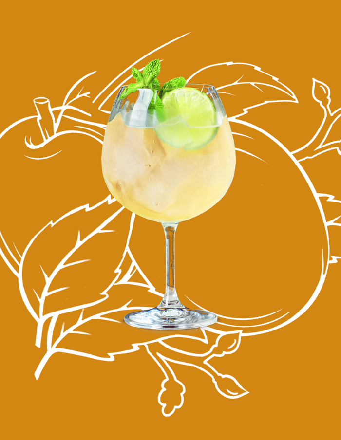 Apricot Brandy Spritz Cocktail Recipe And Ingredients Bols Cocktails