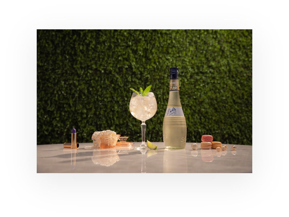 Elderflower Spritz Cocktail Recipe & Ingredients | Bols Cocktails