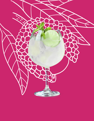 Lychee Spritz Cocktail Recipe & Ingredients | Bols Cocktails